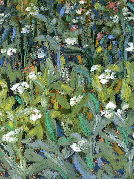 Shifting Light Print – The Scouted Studio